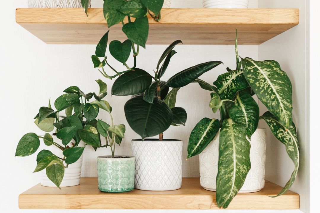 Welkom bij ECOstyle | Duurzaam tuinieren